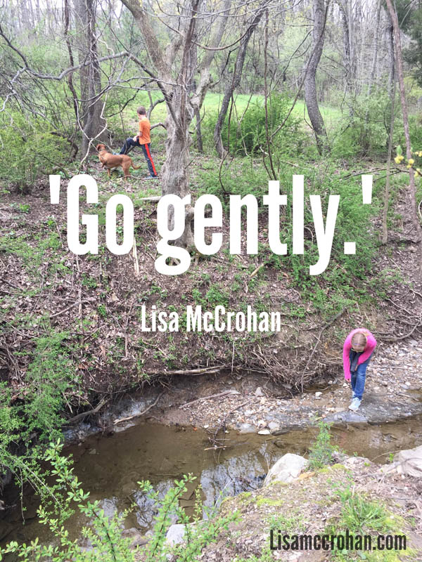 Go Gently - Lisa McCrohan
